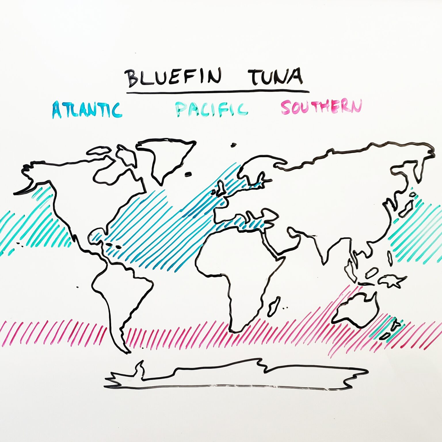 30 DAY MAP CHALLENGE 2021 – Aaron Koelker